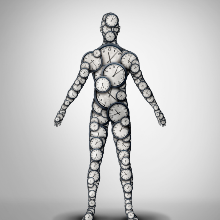 Understanding Our Internal Clocks: The Basics - Knowledgeable Aging